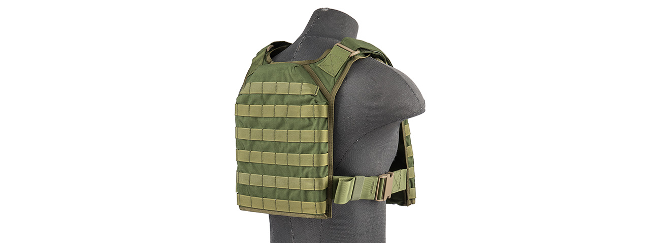 FLYYE INDUSTRIES 1000D MOLLE ASSAULT TACTICAL VEST (OD GREEN) [FY ...